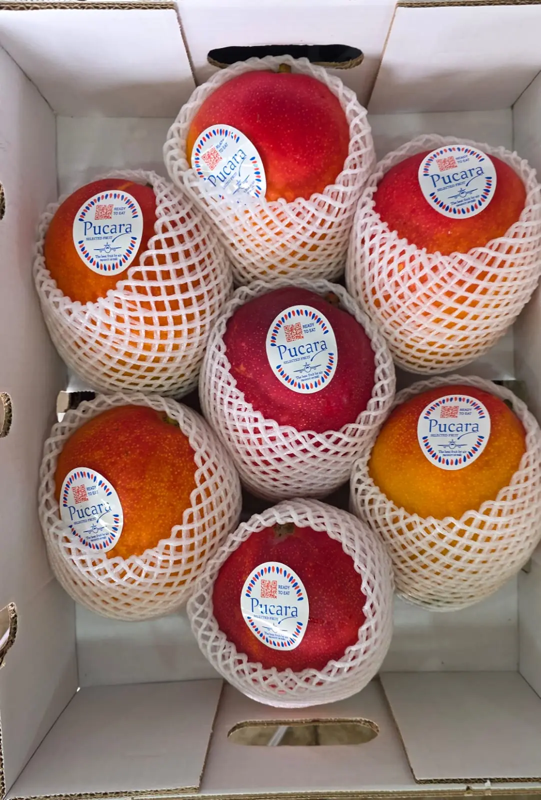 Freshfruits Lebanon | Fresh & Seasonal Fruits