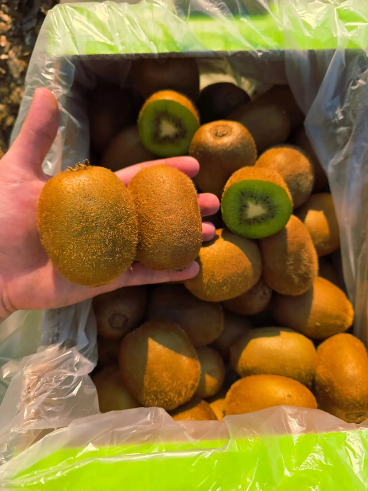 Freshfruits Lebanon | Fresh & Seasonal Fruits