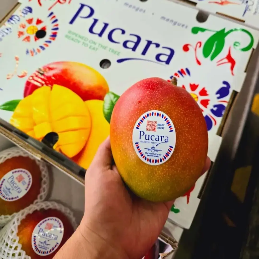 Freshfruits Lebanon | Fresh & Seasonal Fruits