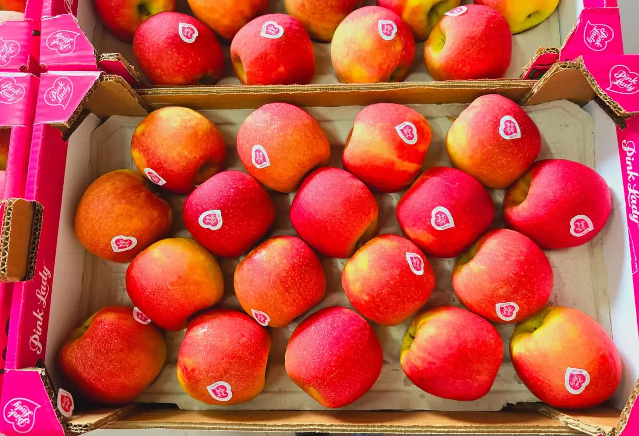 Freshfruits Lebanon | Fresh & Seasonal Fruits