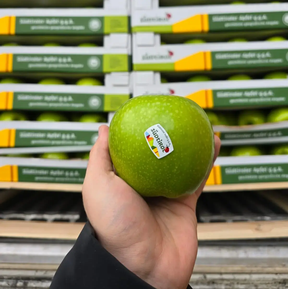 Freshfruits Lebanon | Fresh & Seasonal Fruits